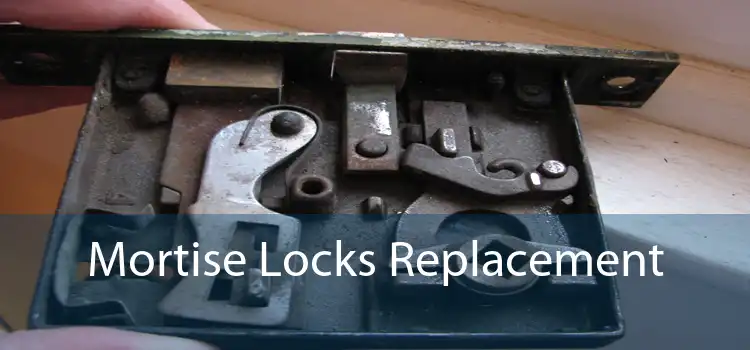 Mortise Lock Replacement Halifax 磊 - Mortise Lock Spring & Cylinder ...